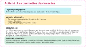 Fiches et activités sur les insectes en maternelle
