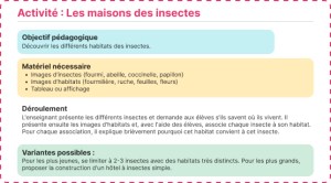 Fiches et activités sur les insectes en maternelle