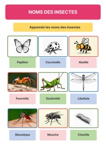 Fiches et activités sur les insectes en maternelle